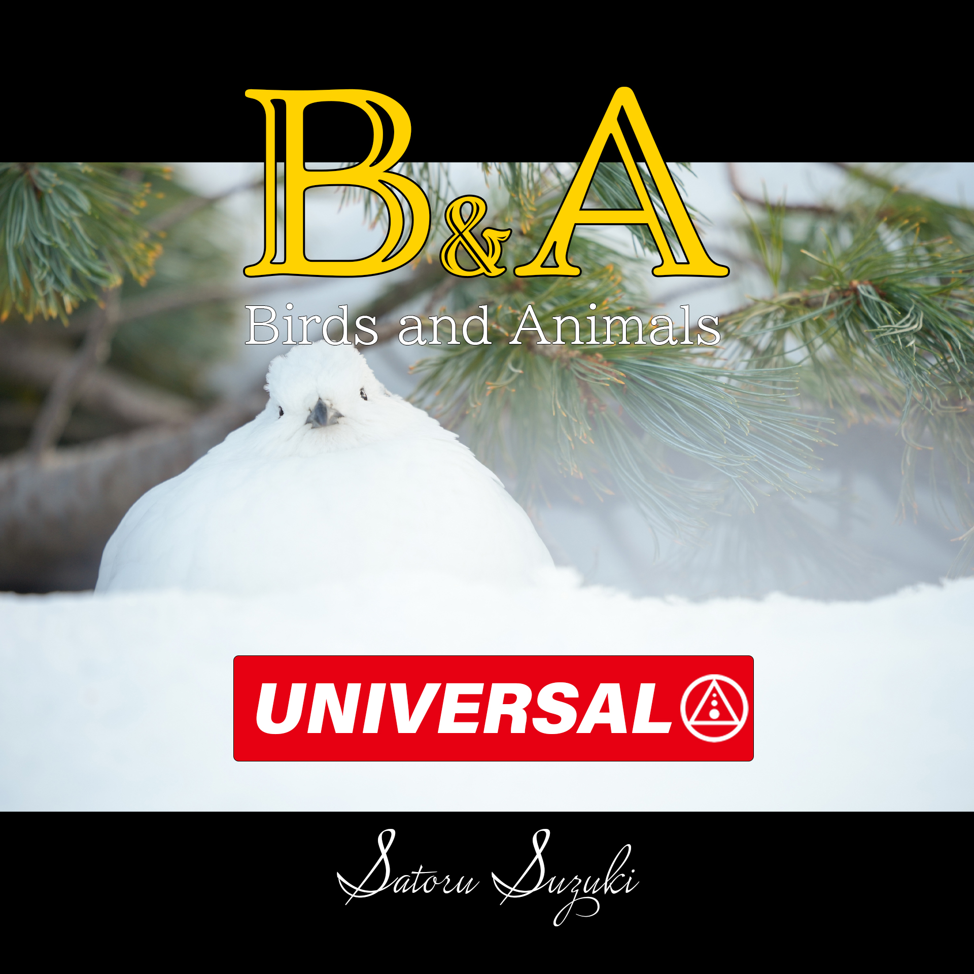 B&A (Birds & Animals） | SATORU SUZUKI